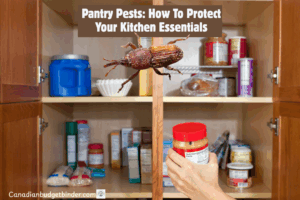 Pantry Pests: Protect Your Kitchen Essentials