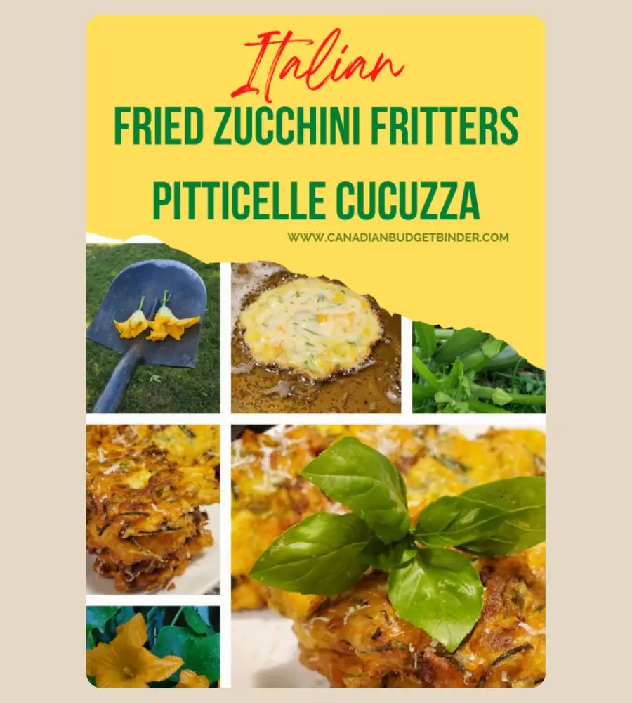 Italian Fried Zucchini Flower Fritters (Pitticelle Cucuzza)