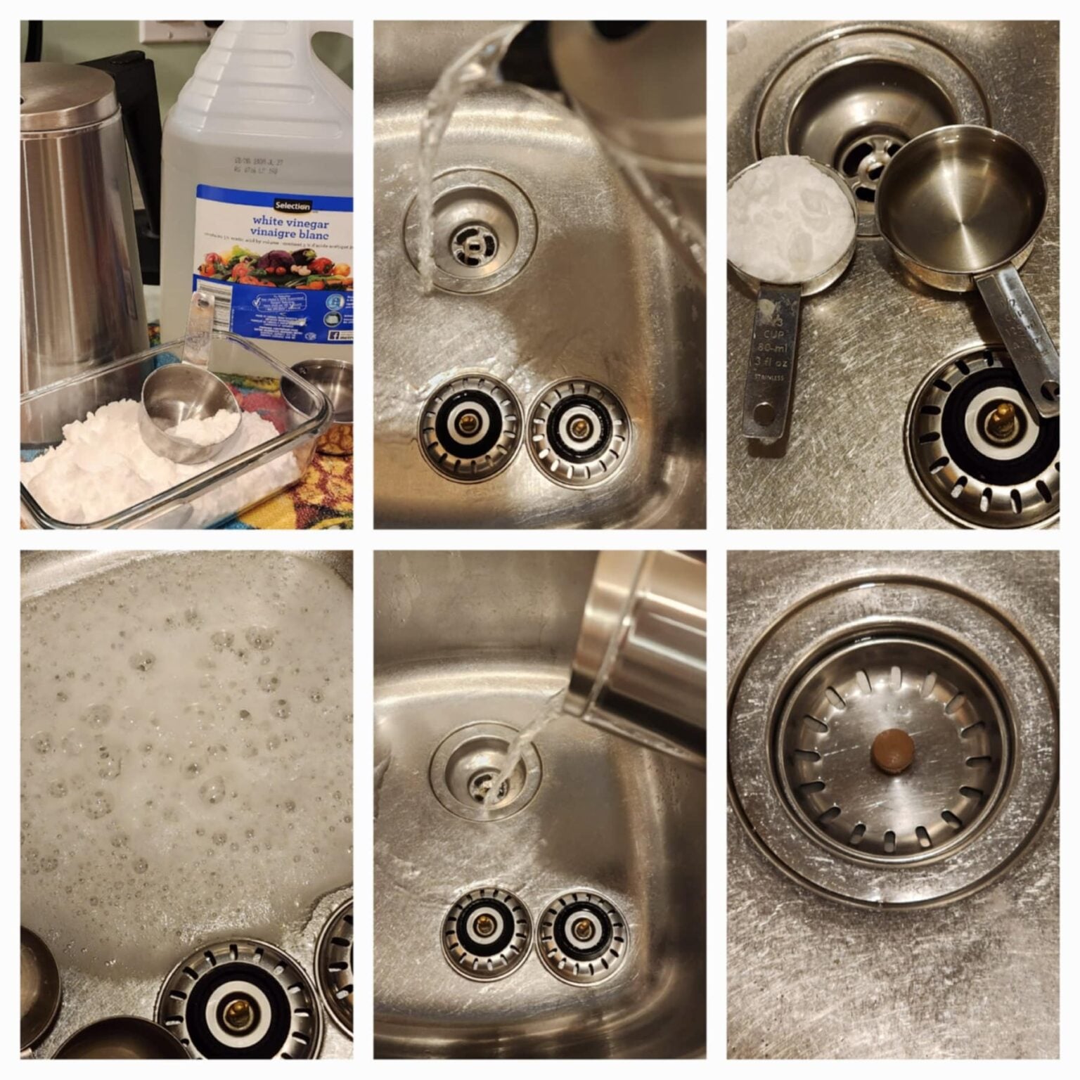 Drain Flies: How to Eliminate Them Naturally